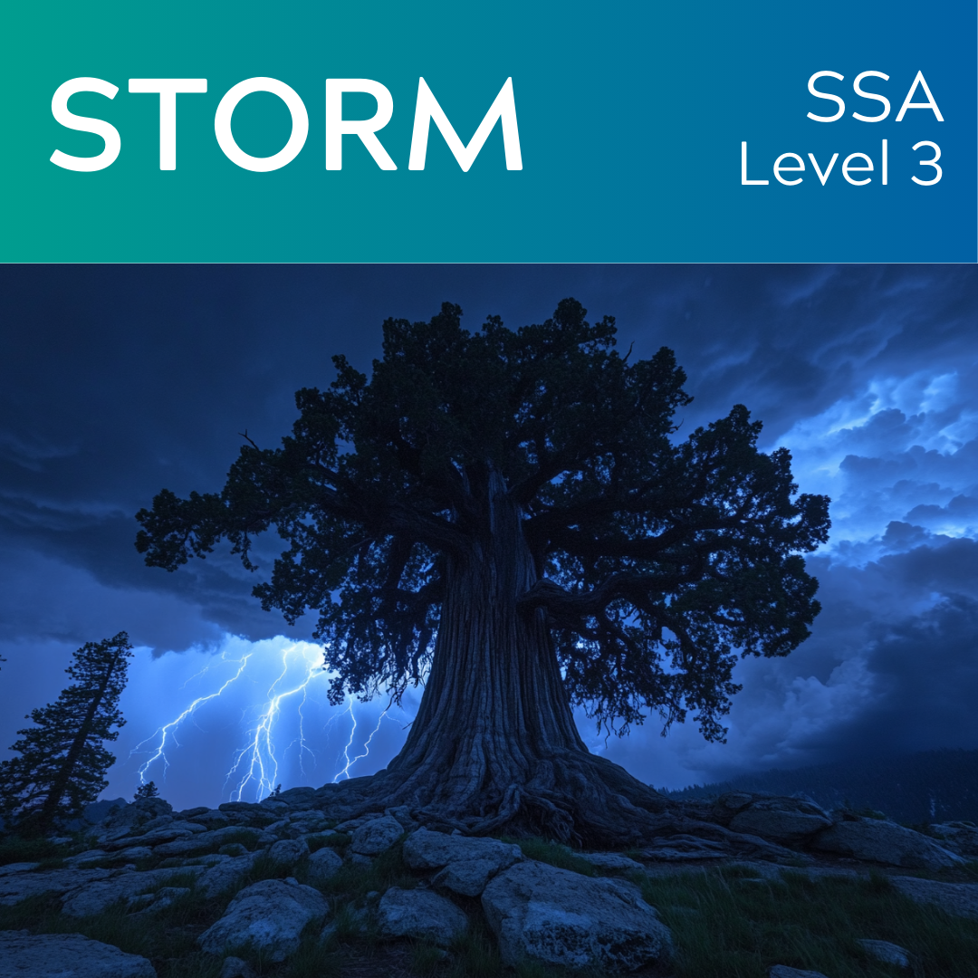 Storm (SSA - L2.5)